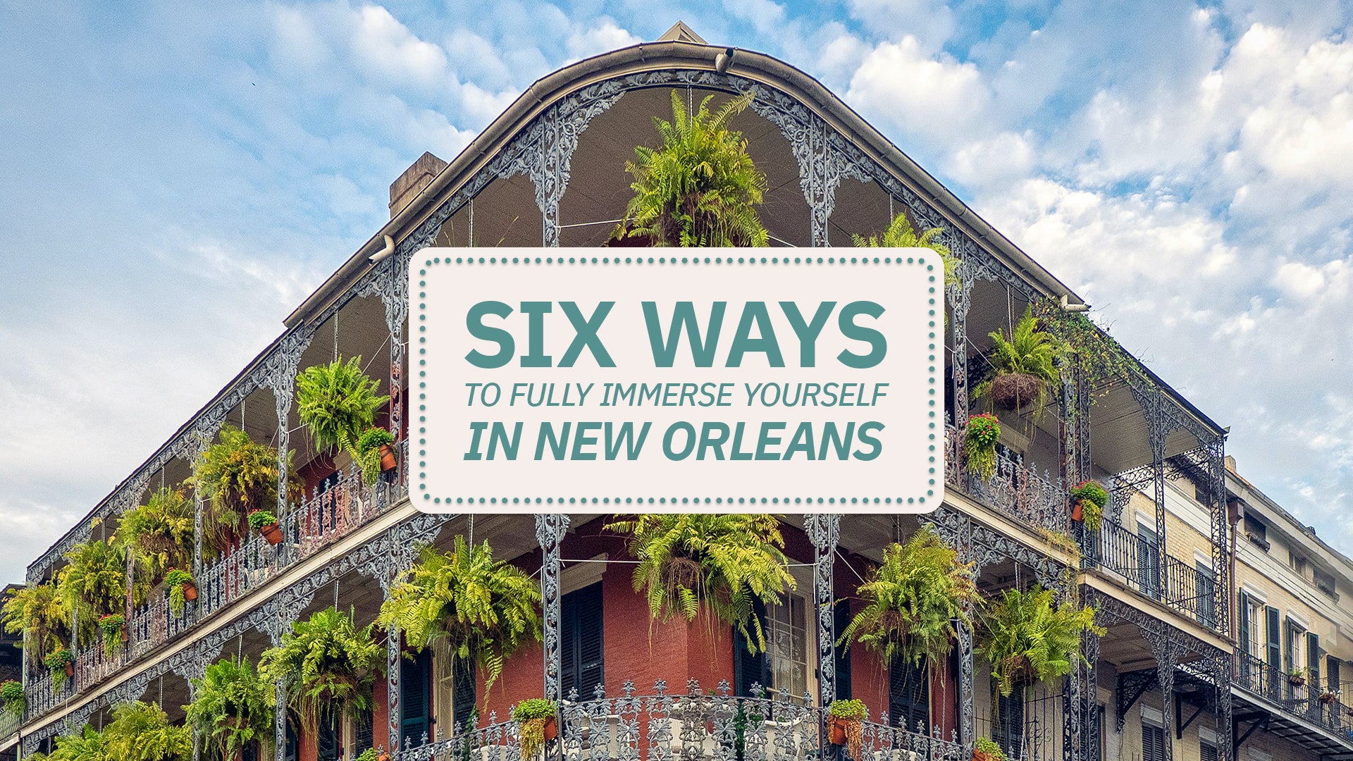 6 Ways to Fully Immerse Yourself In New Orleans – TrtlTravel