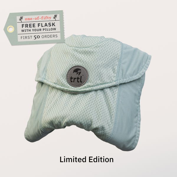 Trtl Travel Thermal Flask | Travel Flask | Flask For Travelling ...