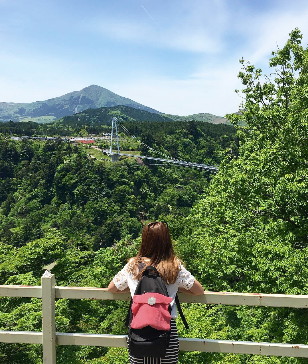 Trtl Travel Neck Pillow#N# – TrtlTravel